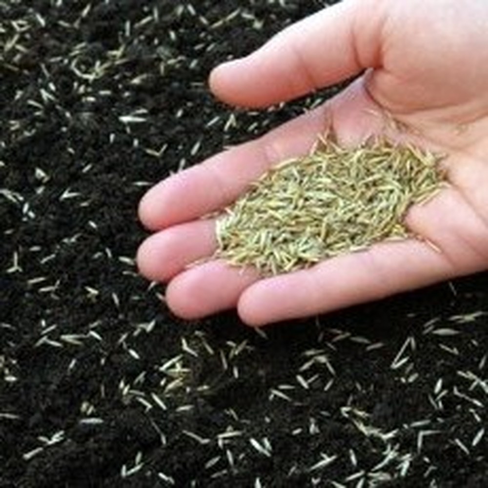 ARBORETUM VOLČJI POTOK